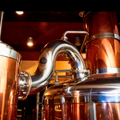 Drawing: Perspective and Proportion